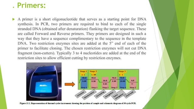 pcr ppt.pptx | Chemistry | Science