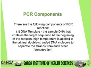 PCR PPT (1) SINDU.pptx