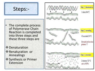 Polymerase Chain Reaction.pptx