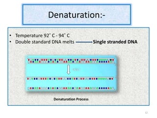 Polymerase Chain Reaction.pptx