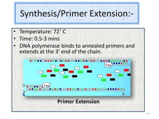 Polymerase Chain Reaction.pptx