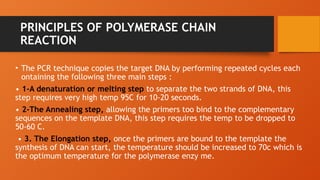POLYMERASE CHAIN REACTION (PCR) | PPT