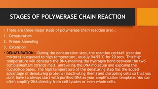 POLYMERASE CHAIN REACTION (PCR) | PPT
