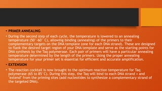 POLYMERASE CHAIN REACTION (PCR) | PPT