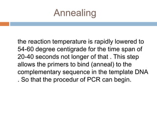 PCR presentation | PPTX