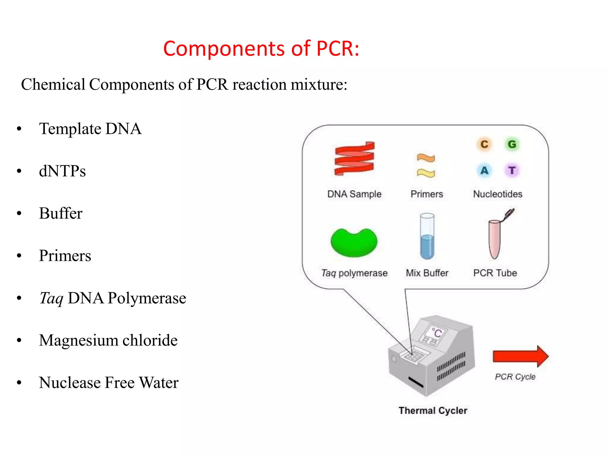 PCR Presentation.pptx | Chemistry | Science