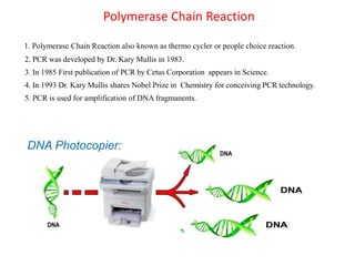 PCR Presentation.pptx | Chemistry | Science