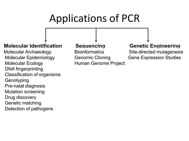 PCR Presentation.pptx | Chemistry | Science