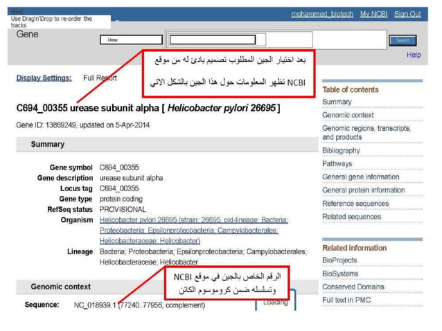 NCBI -Pcr primer design | PPTX
