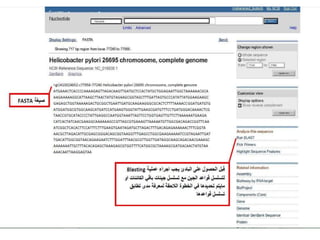 NCBI -Pcr primer design | PPTX
