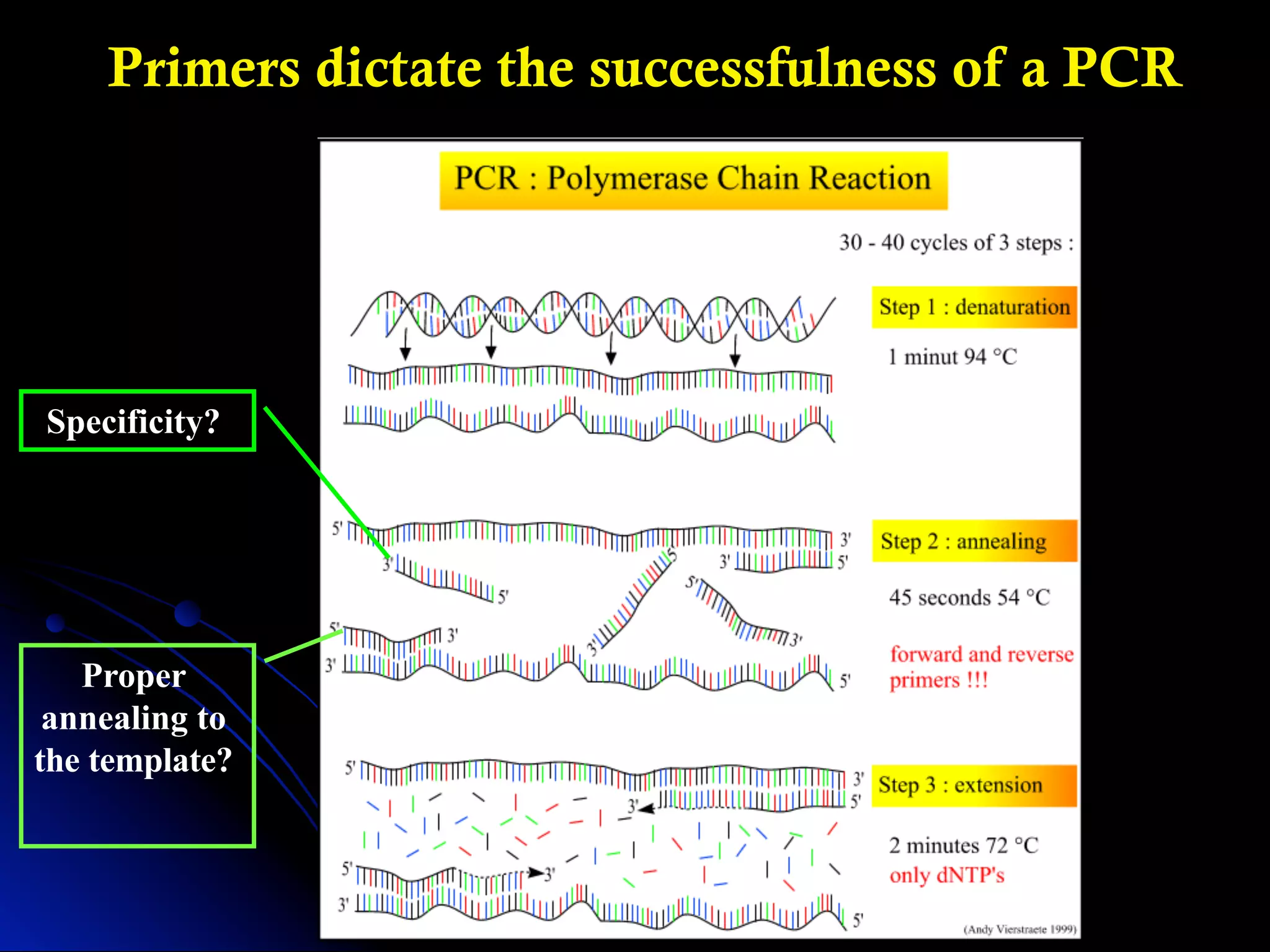 Pcr primer design | PDF | Chemistry | Science