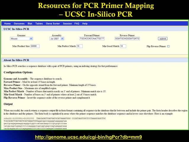 Pcr primer design | PDF | Chemistry | Science