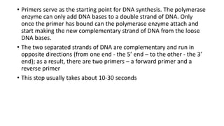 Pcr primer design | PPTX