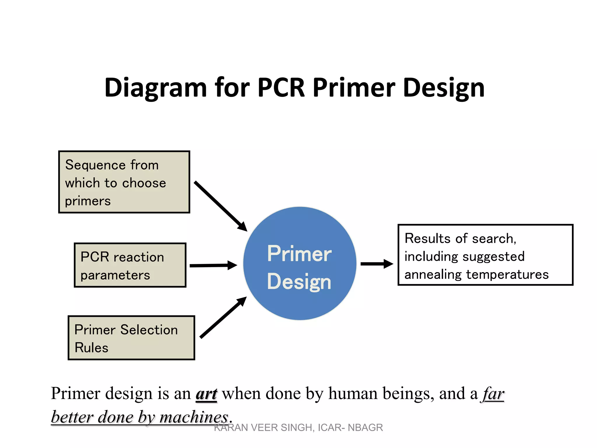 Pcr primer design | PPT