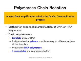 Pcr primer design | PPT