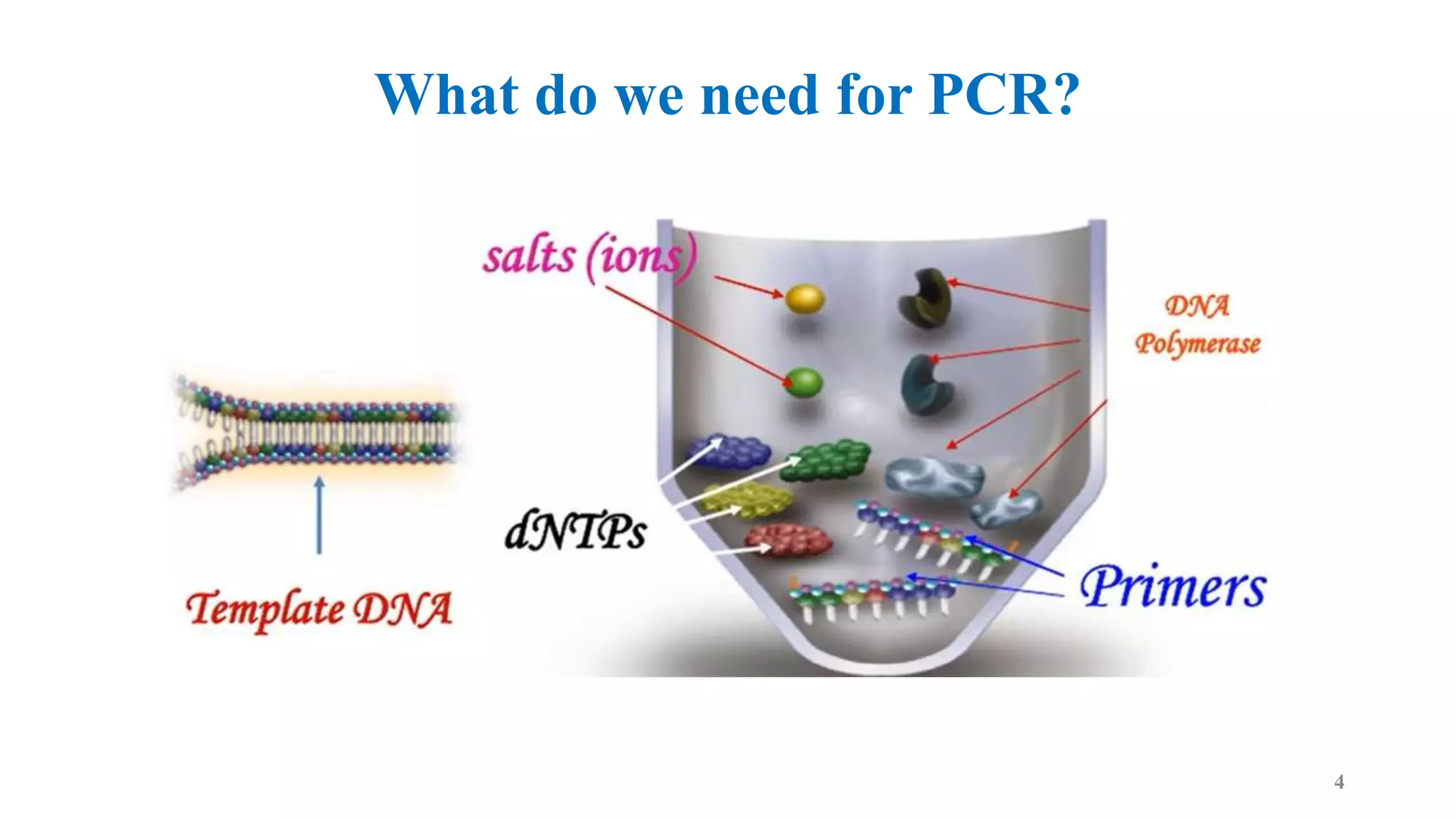 PCR & PRIMER DESIGN | PPT