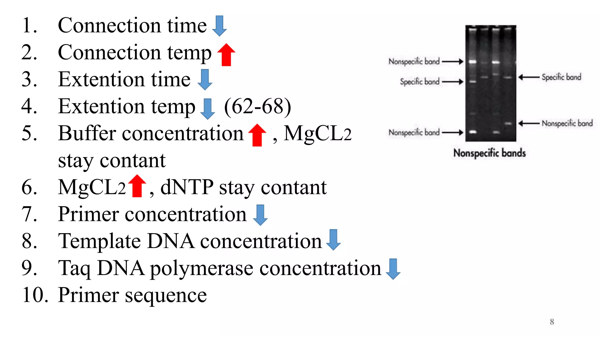 PCR & PRIMER DESIGN | PPTX
