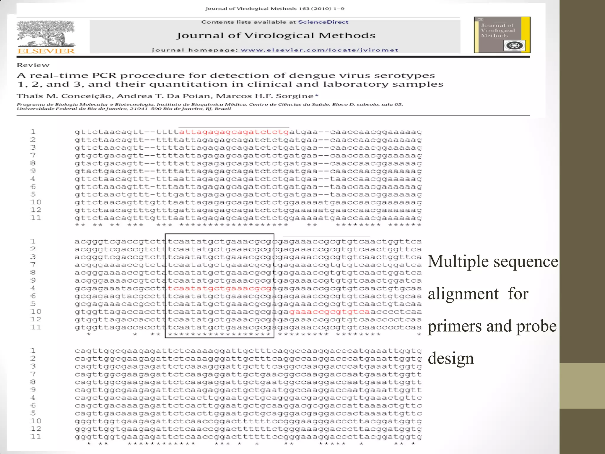 PCR primer design | PDF
