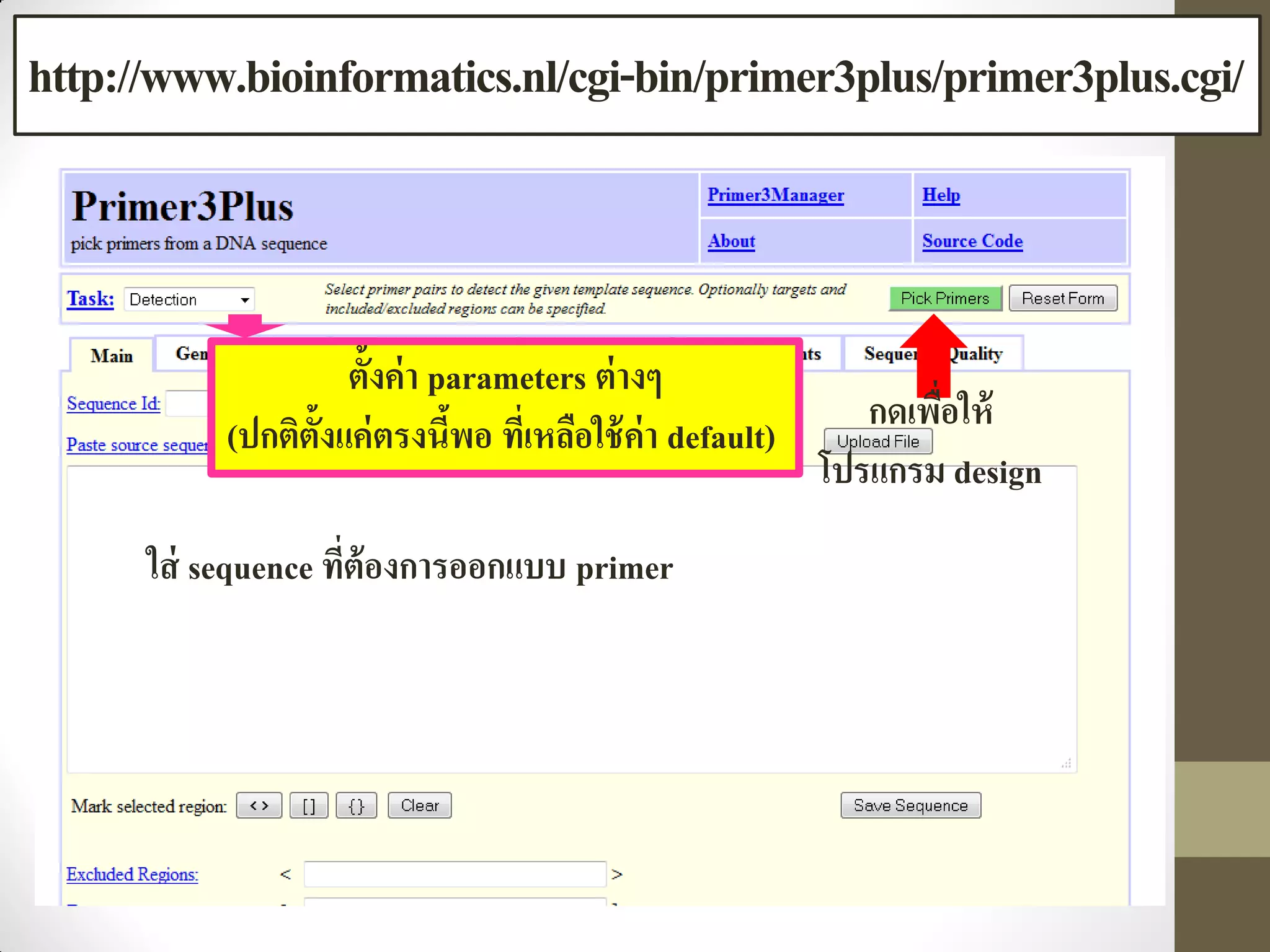 PCR primer design | PDF