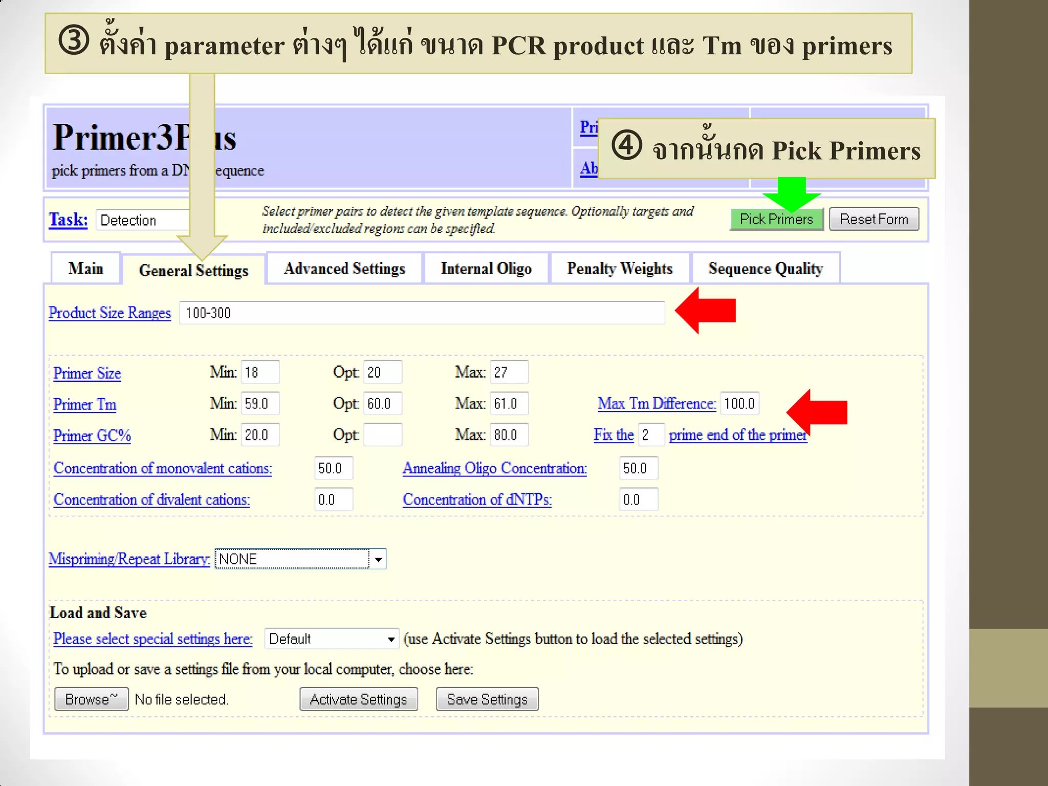 PCR primer design | PDF