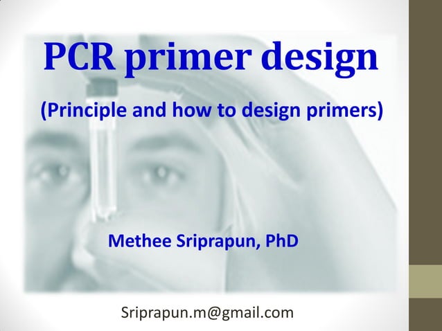 PCR primer design | PDF