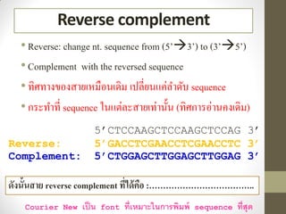 PCR primer design | PDF