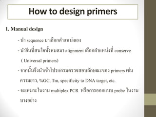 PCR primer design | PDF