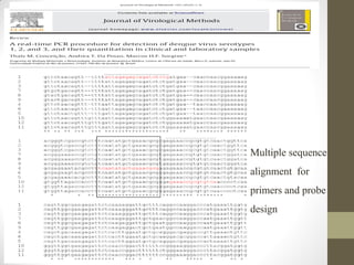PCR primer design | PDF