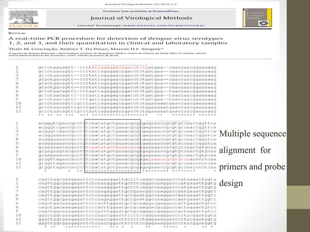 PCR primer design | PDF