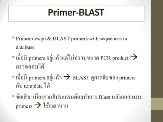 PCR primer design | PDF