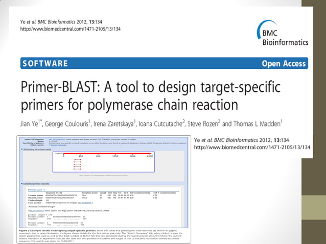 PCR primer design | PDF