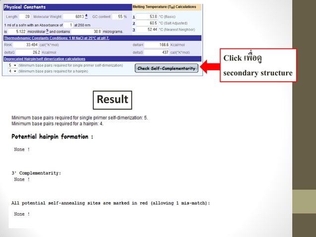 PCR primer design | PDF