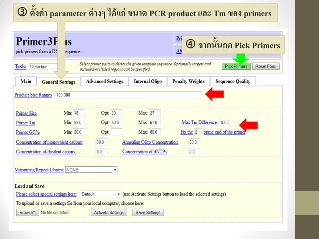 PCR primer design | PDF