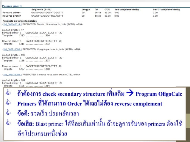PCR primer design | PDF
