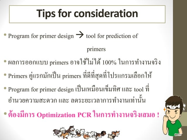 PCR primer design | PDF