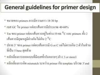 PCR primer design | PDF