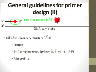 PCR primer design | PDF