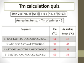 PCR primer design | PDF