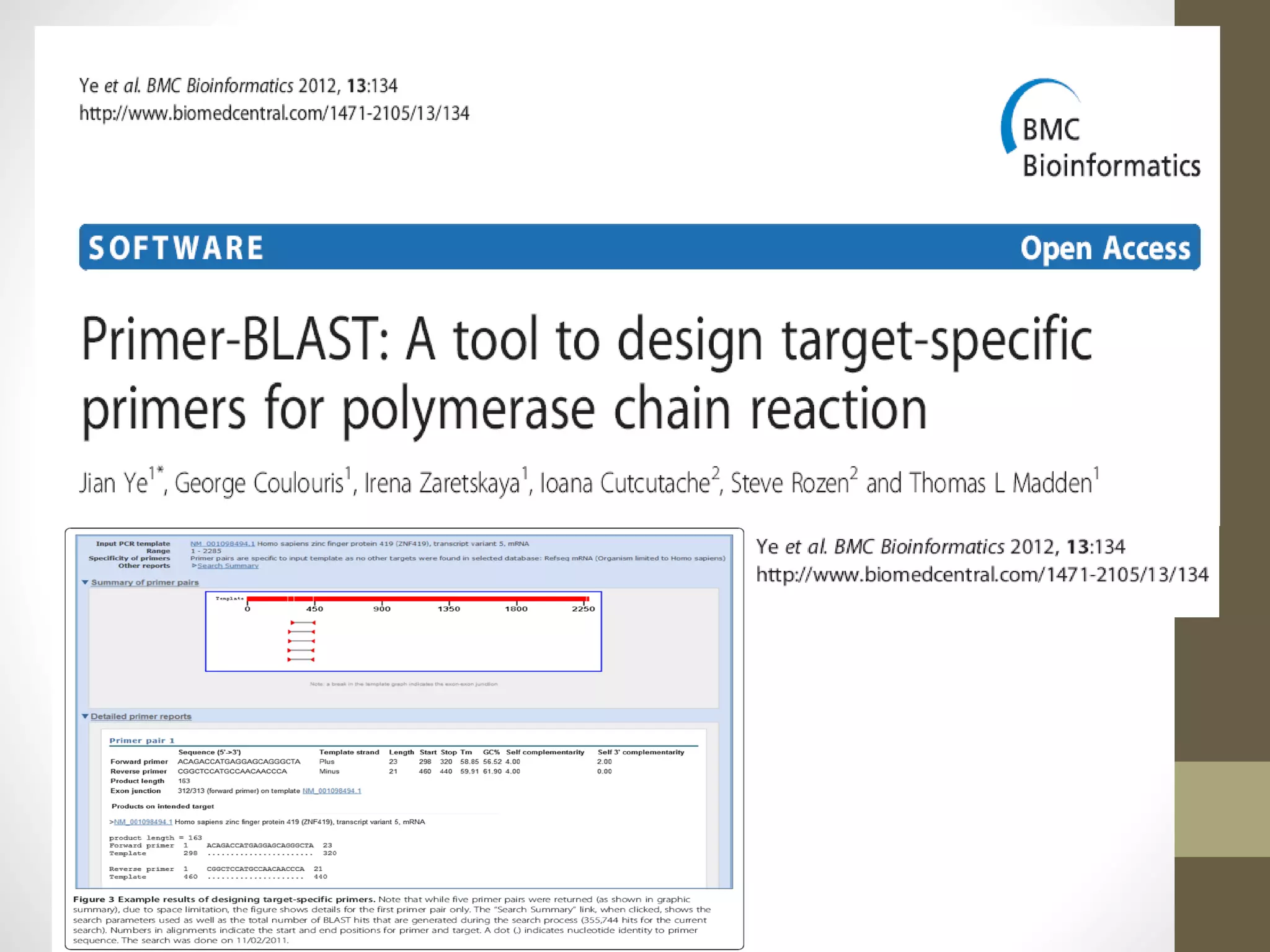 Pcr primer design english version | PDF