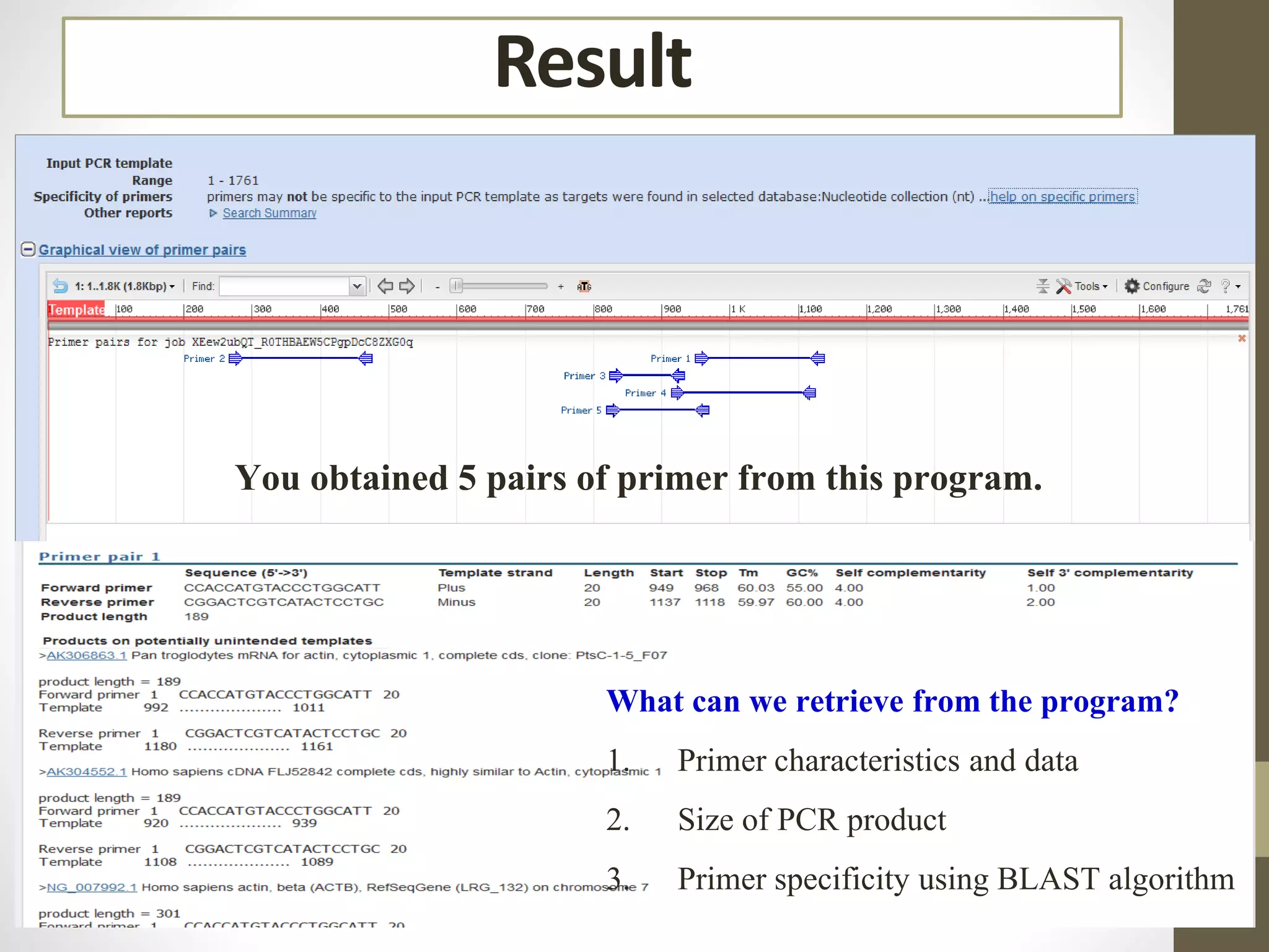 Pcr primer design english version | PDF