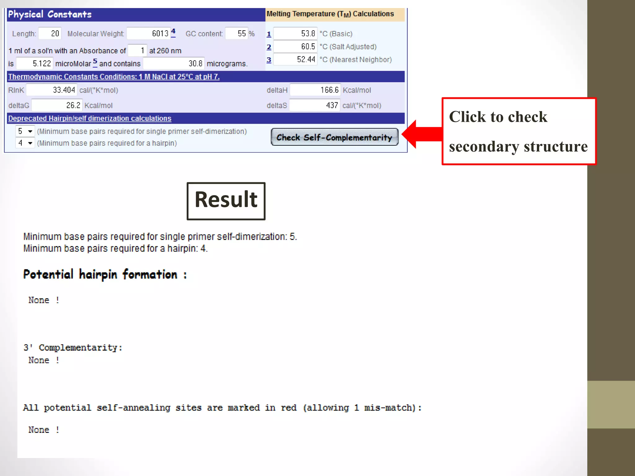 Pcr primer design english version | PDF