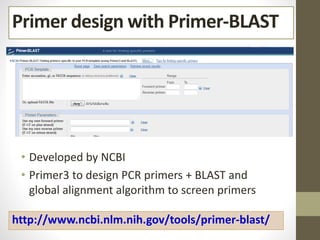 Pcr primer design english version | PDF