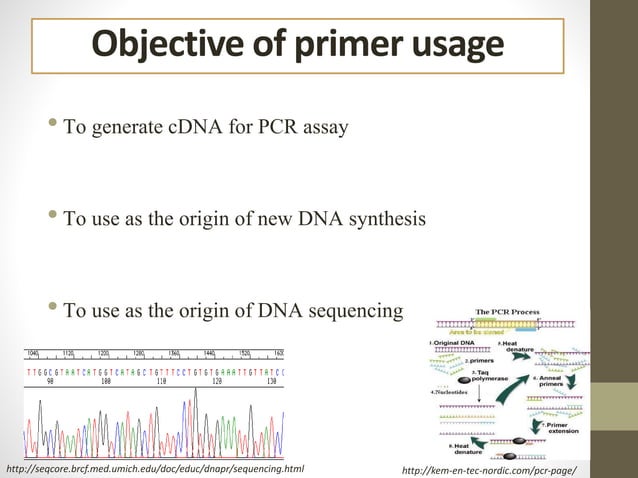 Pcr primer design english version | PDF
