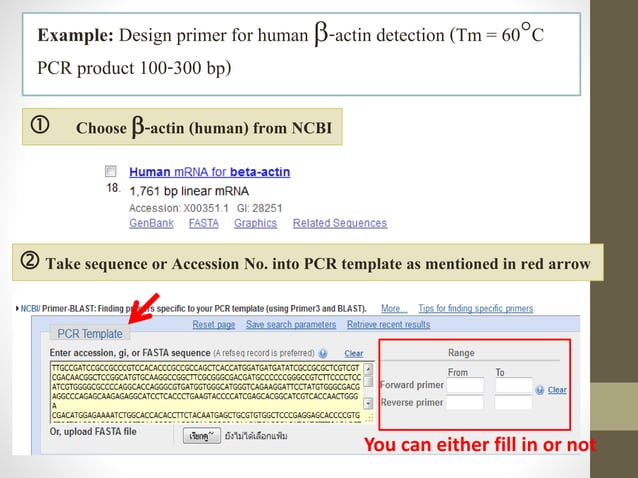 Pcr primer design english version | PDF