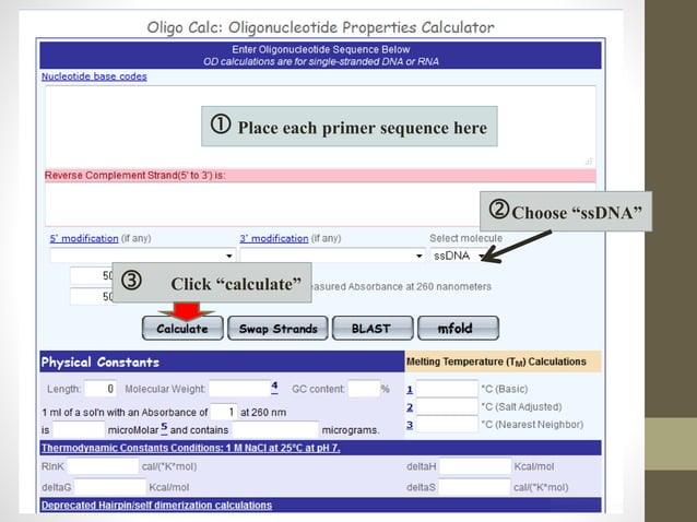 Pcr primer design english version | PDF