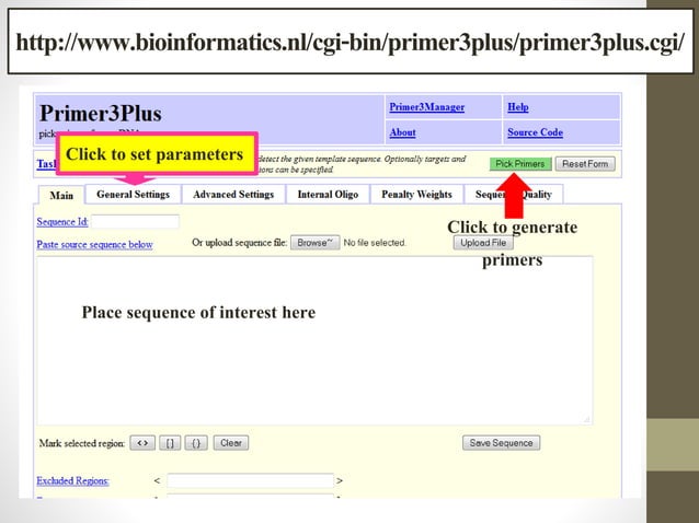 Pcr primer design english version | PDF