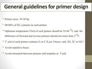 Pcr primer design english version | PDF