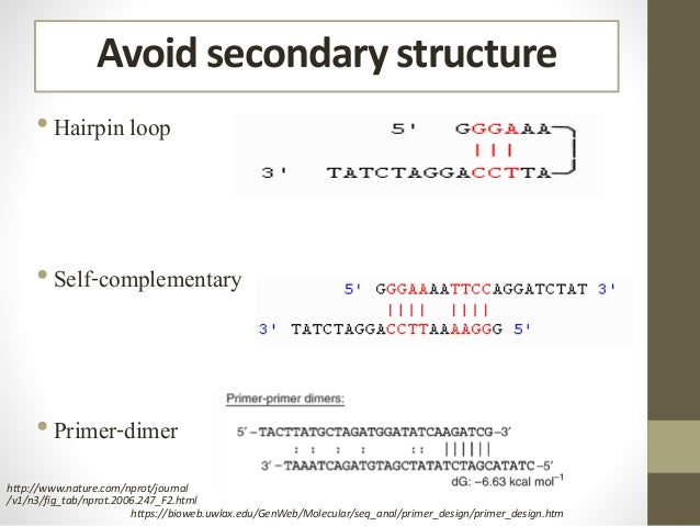 Pcr primer design english version