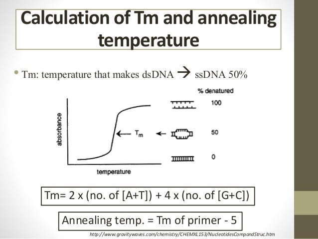 Pcr primer design english version