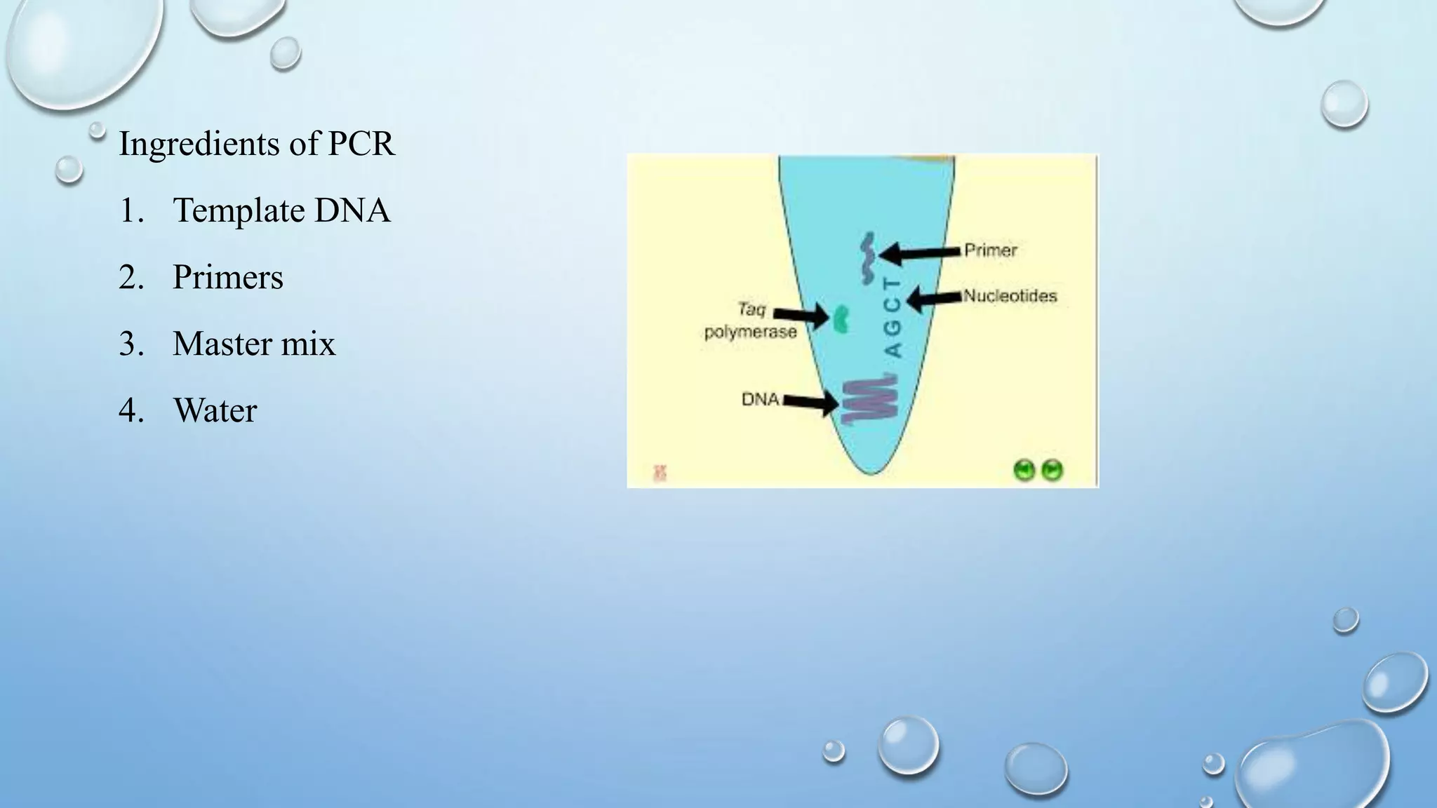 Pcr & primer designing | PPT